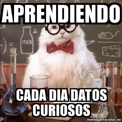 Meme Chemistry Cat - Aprendiendo Cada dia Datos curiosos - 31471765