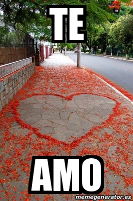 Meme Personalizado - Te Amo - 31472107