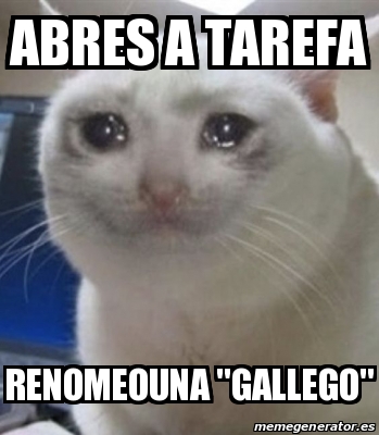 Meme Personalizado - abres a tarefa renomeouna "gallego" - 31479736