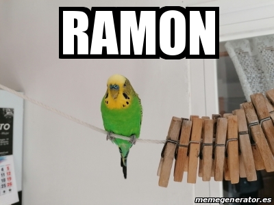 Meme Personalizado - RAMON - 31482993