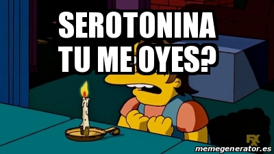 Meme Personalizado - sEROTONINA TU ME OYES? - 31485049