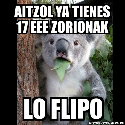 Meme Koala - AITZOL YA TIENES 17 EEE ZORIONAK LO FLIPO - 31485110