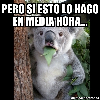 Meme Koala - Pero si esto lo hago en media hora... - 31487033