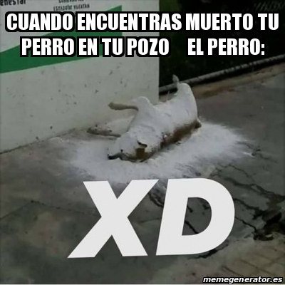 Meme Personalizado - cuando encuentras muerto tu perro en tu pozo el ...
