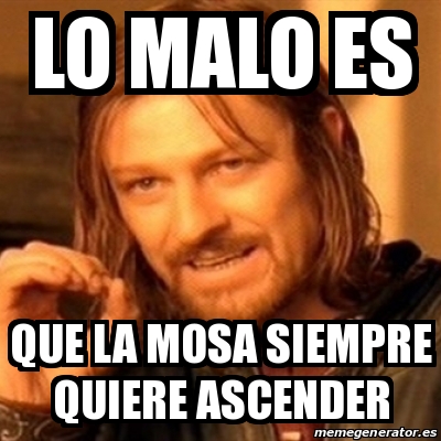Meme Boromir - LO MALO ES QUE LA MOSA SIEMPRE QUIERE ASCENDER - 31496490