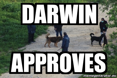 Meme Personalizado - darwin approves - 31498975