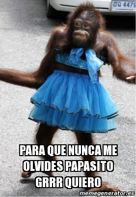 Meme Personalizado - para que nunca me olvides papasito grrr quiero ...