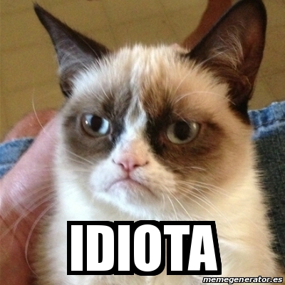 Meme Grumpy Cat - Idiota - 31053830