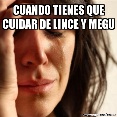 Meme Problems - Cuando tienes que cuidar de Lince y Megu - 31053982