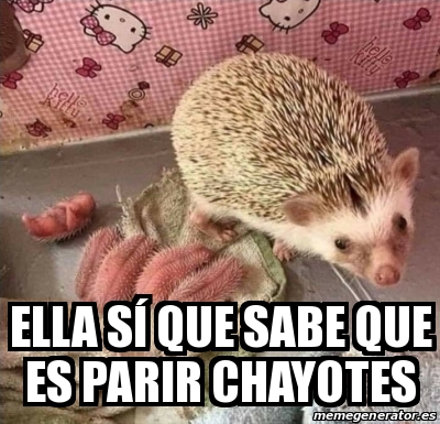 Meme Personalizado - Ella sÃ­ que sabe que es parir chayotes - 31054749