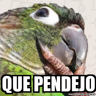 Meme Personalizado - Que pendejo - 31500320