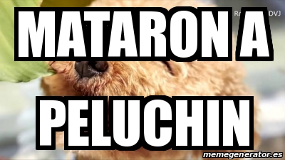 Meme Personalizado - Mataron a Peluchin - 31502242