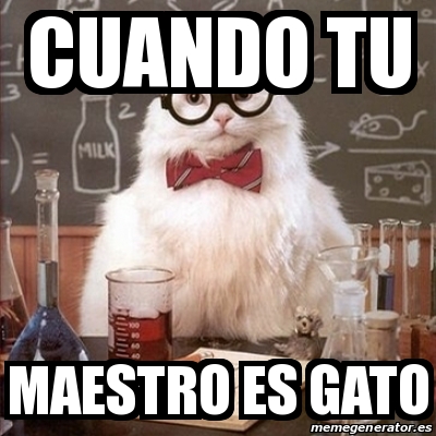 Meme Chemistry Cat - Cuando tu Maestro es gato - 31503732