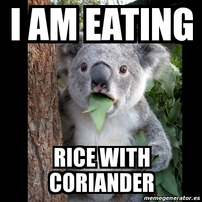 Meme Koala - I AM EATING RICE WITH coriander - 31506275
