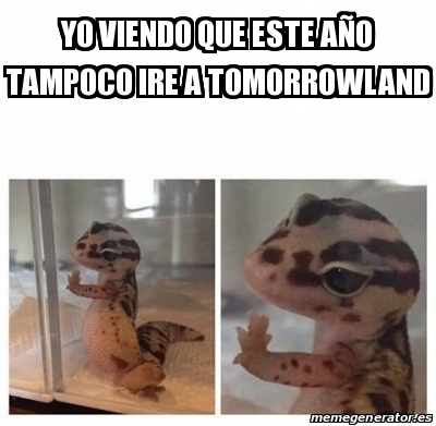 Meme Personalizado - yo viendo que este aÃ±o tampoco ire a TOMORROWLAND ...