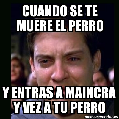 Meme crying peter parker - cuando se te muere el perro y entras a ...