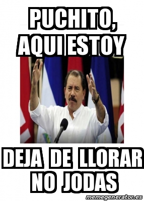 Meme Personalizado - puchito, aqui estoy deja de llorar no jodas - 31510393