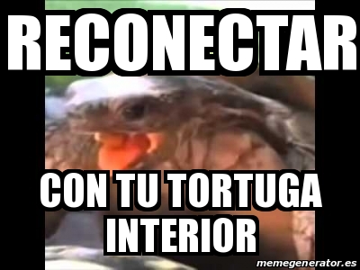 Meme Personalizado - Reconectar con tu tortuga interior - 31514468