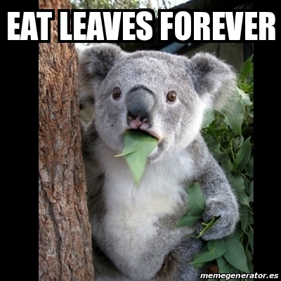Meme Koala - Eat LEAVES FOREVER - 31515108