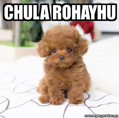 Meme Personalizado - Chula Rohayhu - 31516754
