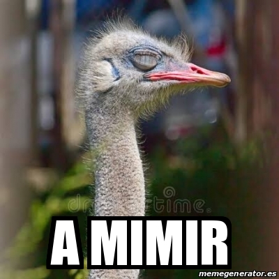 Meme Personalizado - A mimir - 31522225