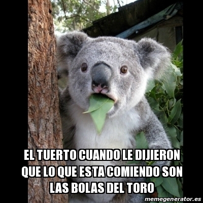 Meme Koala - el tuerto cuando le dijieron que lo que esta comiendo son ...