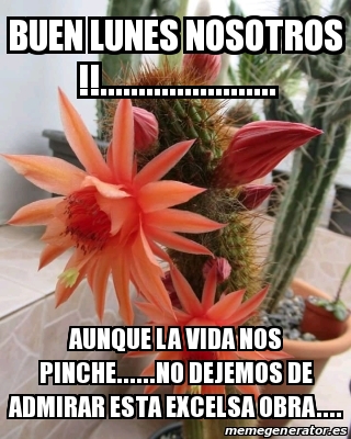Meme Personalizado - Buen lunes nosotros ...