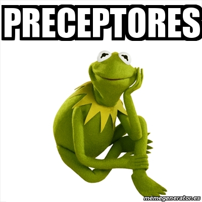 Meme Kermit the frog - Preceptores - 31527928