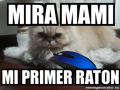 Meme Personalizado - Mira mami Mi primer Raton - 31529440