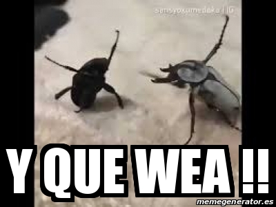 Meme Personalizado - y que wea !! - 31529543