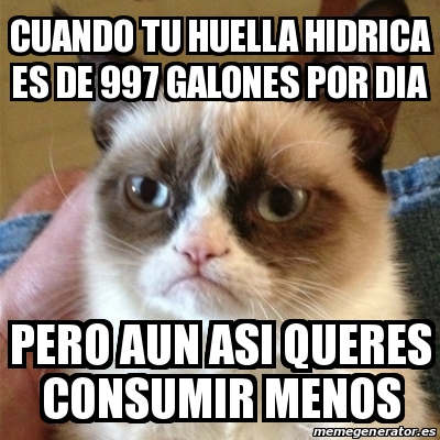 Meme Grumpy Cat - CUANDO TU HUELLA HIDRICA ES DE 997 GALONES POR dia ...
