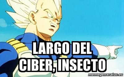 Meme Personalizado - LARGO DEL CIBER, INSECTO - 31536578