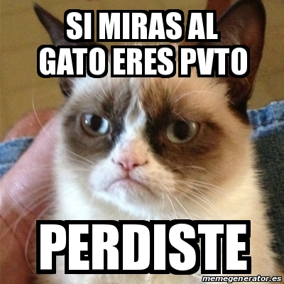 Meme Grumpy Cat - si miras al gato eres pvto perdiste - 31538091