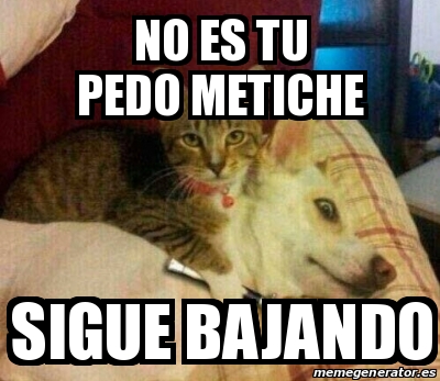 Meme Personalizado - No es tu pedo metiche Sigue bajando - 31539543