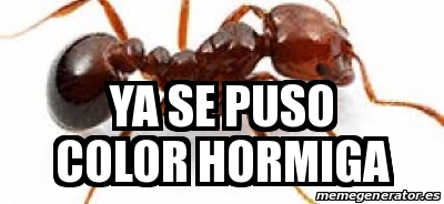 Meme Personalizado - YA SE PUSO COLOR HORMIGA - 31543387