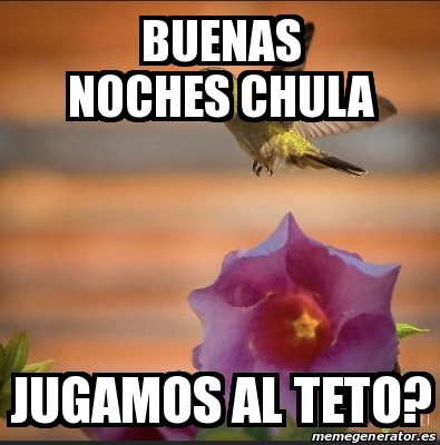 Meme Personalizado - Buenas noches chula Jugamos al teto? - 31544354