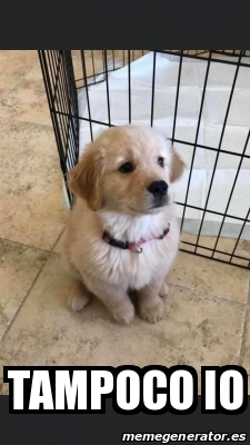 Meme Personalizado - Tampoco io - 31547639