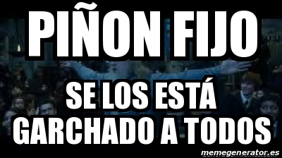 Meme Personalizado - PiÃ±on fijo Se los estÃ¡ garchado a todos - 31551727