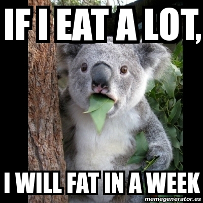 Meme Koala - If i eat a lot, i will fat in a week - 31552873