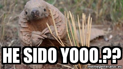 Meme Personalizado - HE SIDO YOoo.?? - 31556115