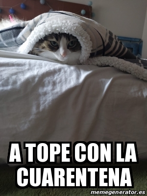 Meme Personalizado - A TOPE CON LA CUARENTENA - 31556299