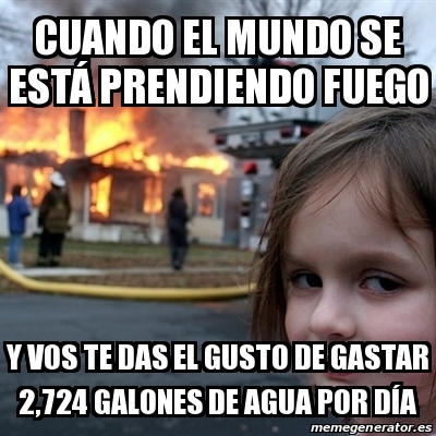 Meme Disaster Girl - cuando el mundo se estÃ¡ prendiendo fuego y vos te ...