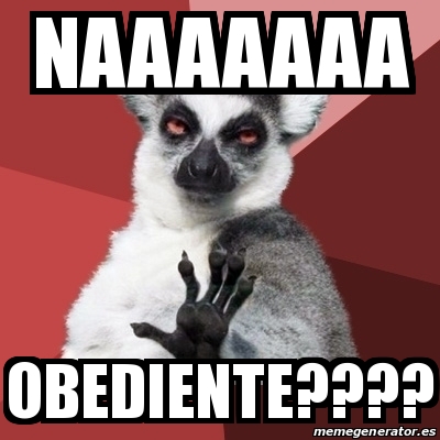 Meme Chill Out Lemur - NAAAAAAA OBEDIENTE???? - 31560799