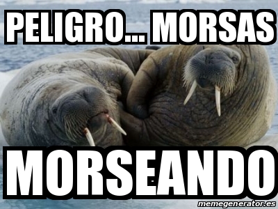 Meme Personalizado - Peligro... Morsas Morseando - 31563219