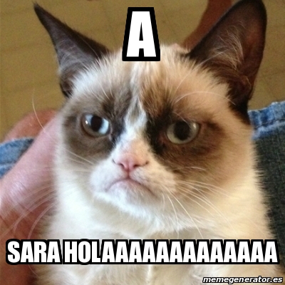 Meme Grumpy Cat - A SARA HOLAAAAAAAAAAAAA - 31563878