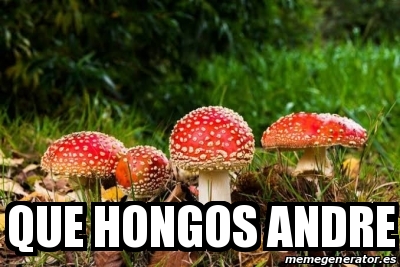 Meme Personalizado - Que hongos Andre - 31564625