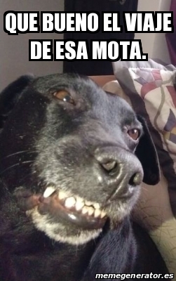 Meme Personalizado - que bueno el viaje de esa mota. - 31564897