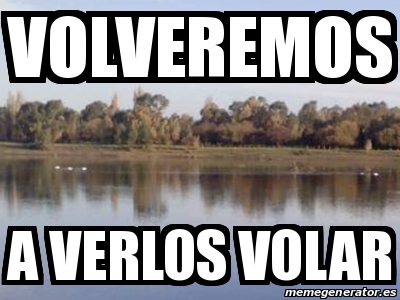 Meme Personalizado - Volveremos A verlos volar - 31567465