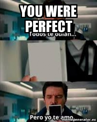 Meme Personalizado - YOU WERE PERFECT - 31570755