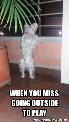 Meme Personalizado - when you miss going outside to play - 31573084